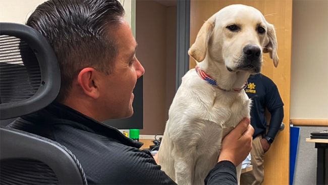 Officer Robert Sotelo introduces Cali, UC Davis's first specialized ...